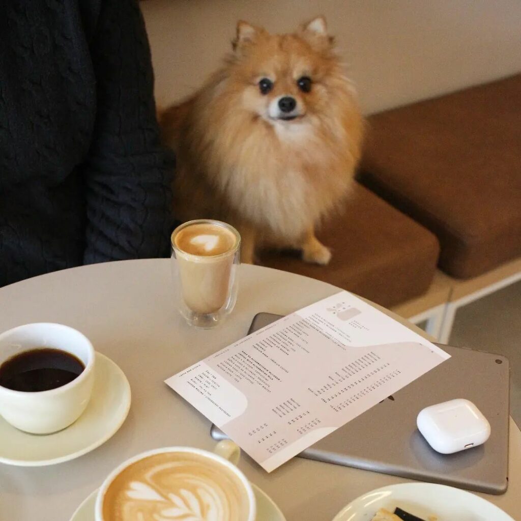 Utopia se može pohvaliti sjajnim izborom specialty kava