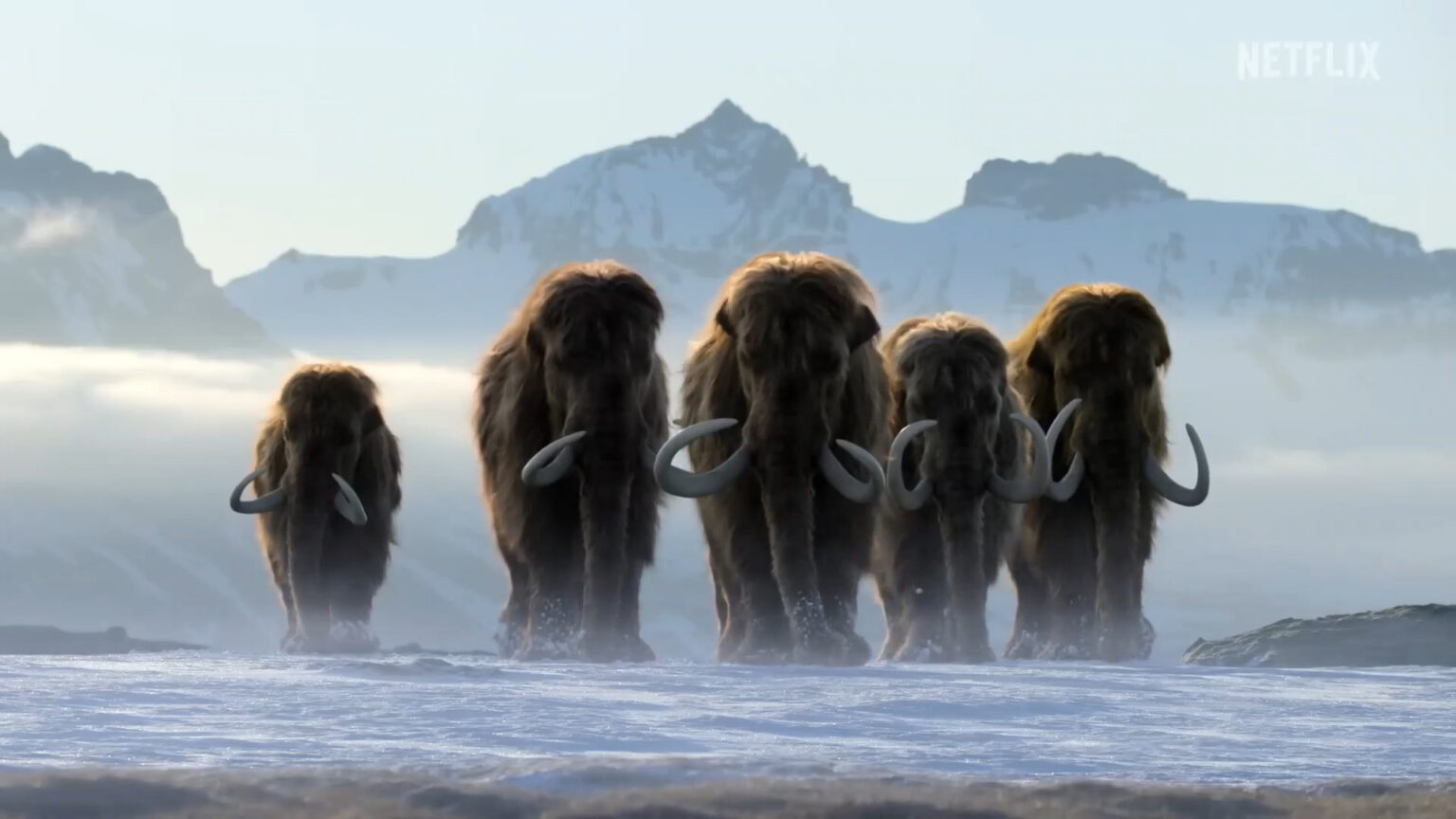 Life on Our Planet je fantastična serija koja stiže na Netflix